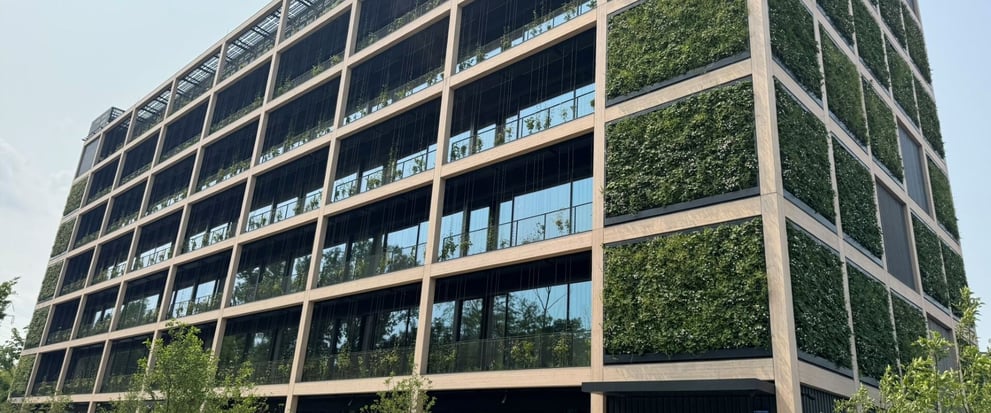 Treet | Certified, bio-based fire protection for wood